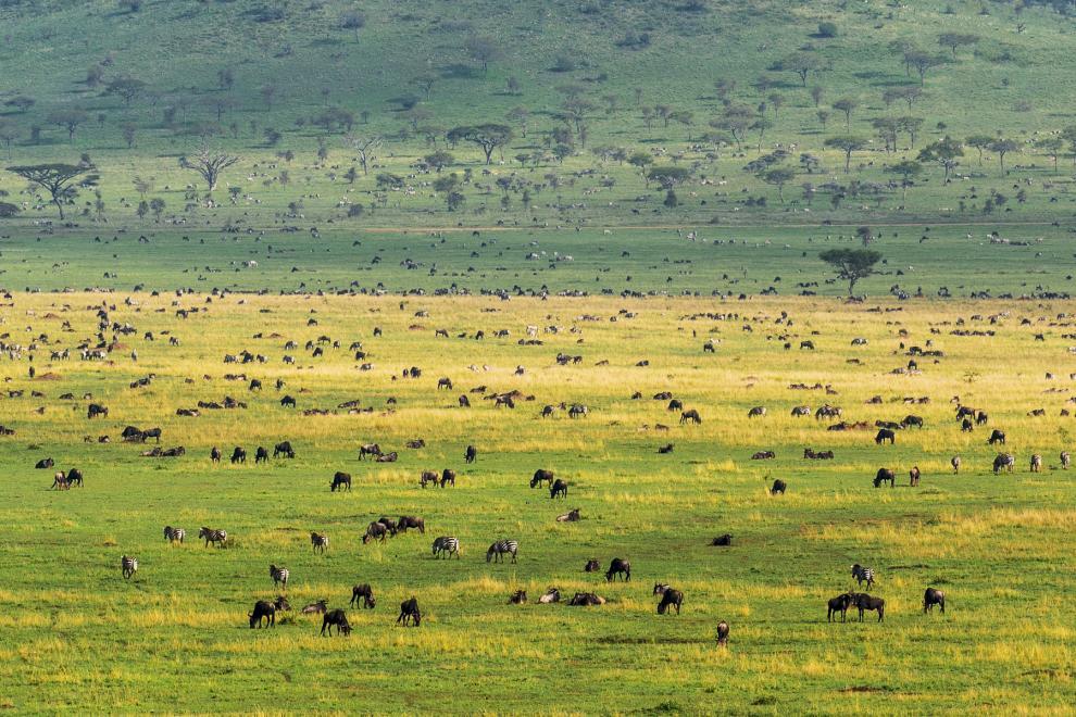 Reizen op Maat naar Tanzania | BE